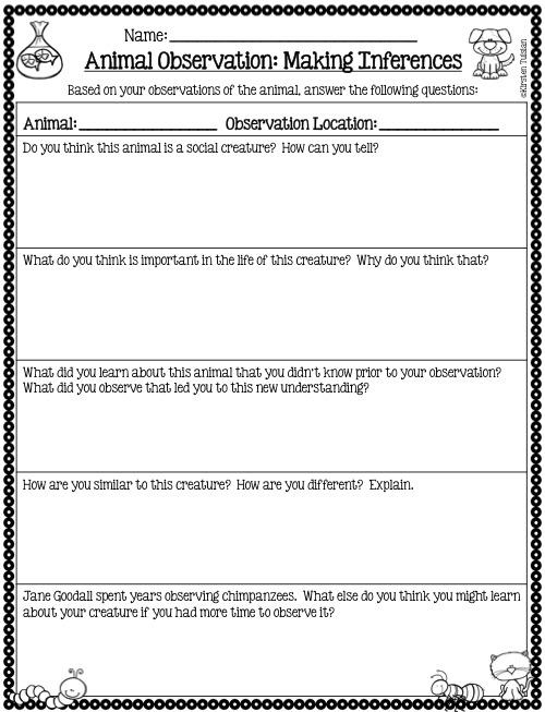 I am Jane Goodall by Brad Meltzer Literature Activities