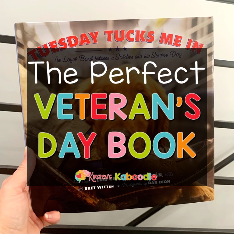 Children's Books for Veterans Day Activities • Kirsten's Kaboodle